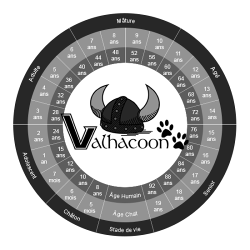 Quel âge a votre chat en âge humain ? – Chatterie du Valhacoon